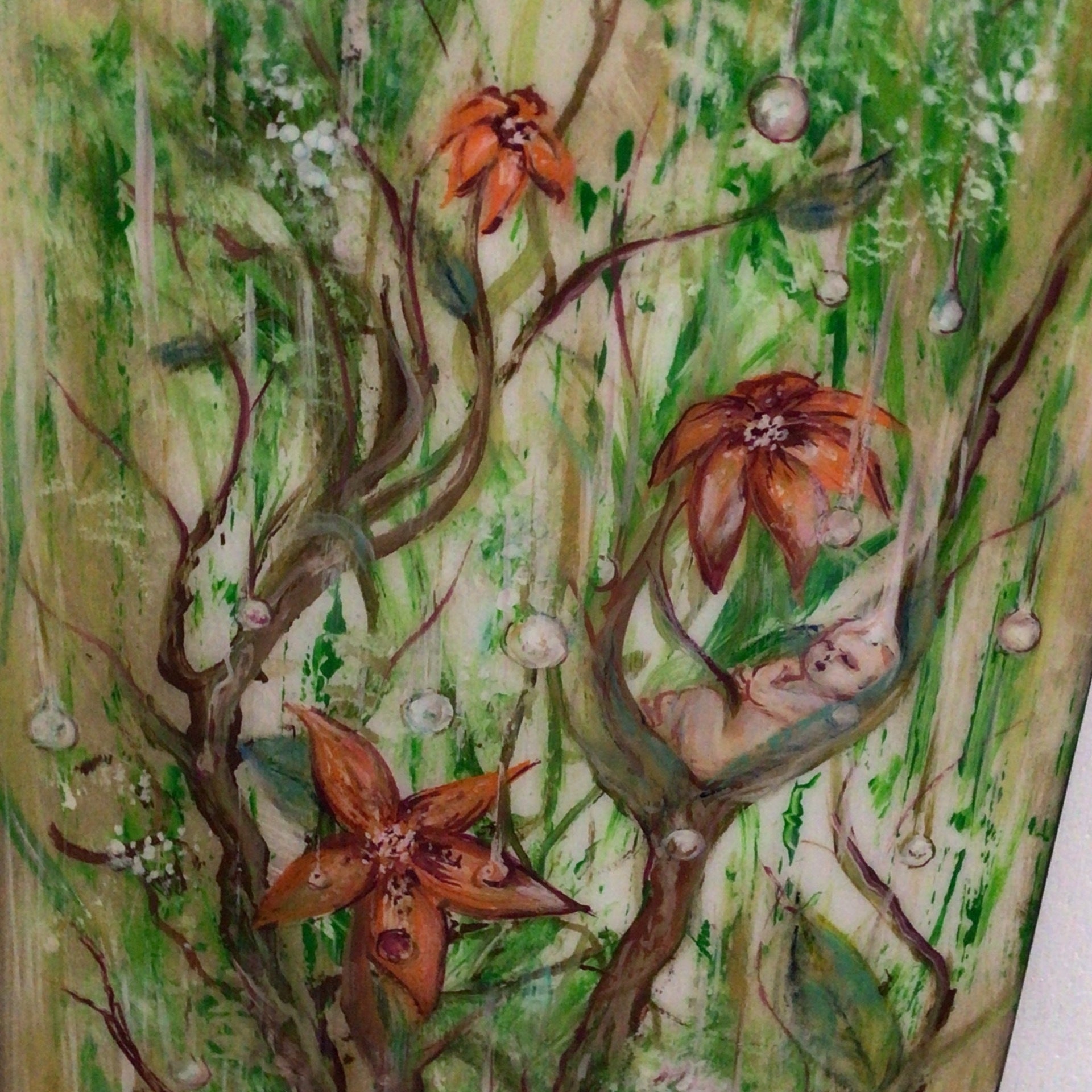 New birth | The Forest Discovery Centre and its community acknowledges ...