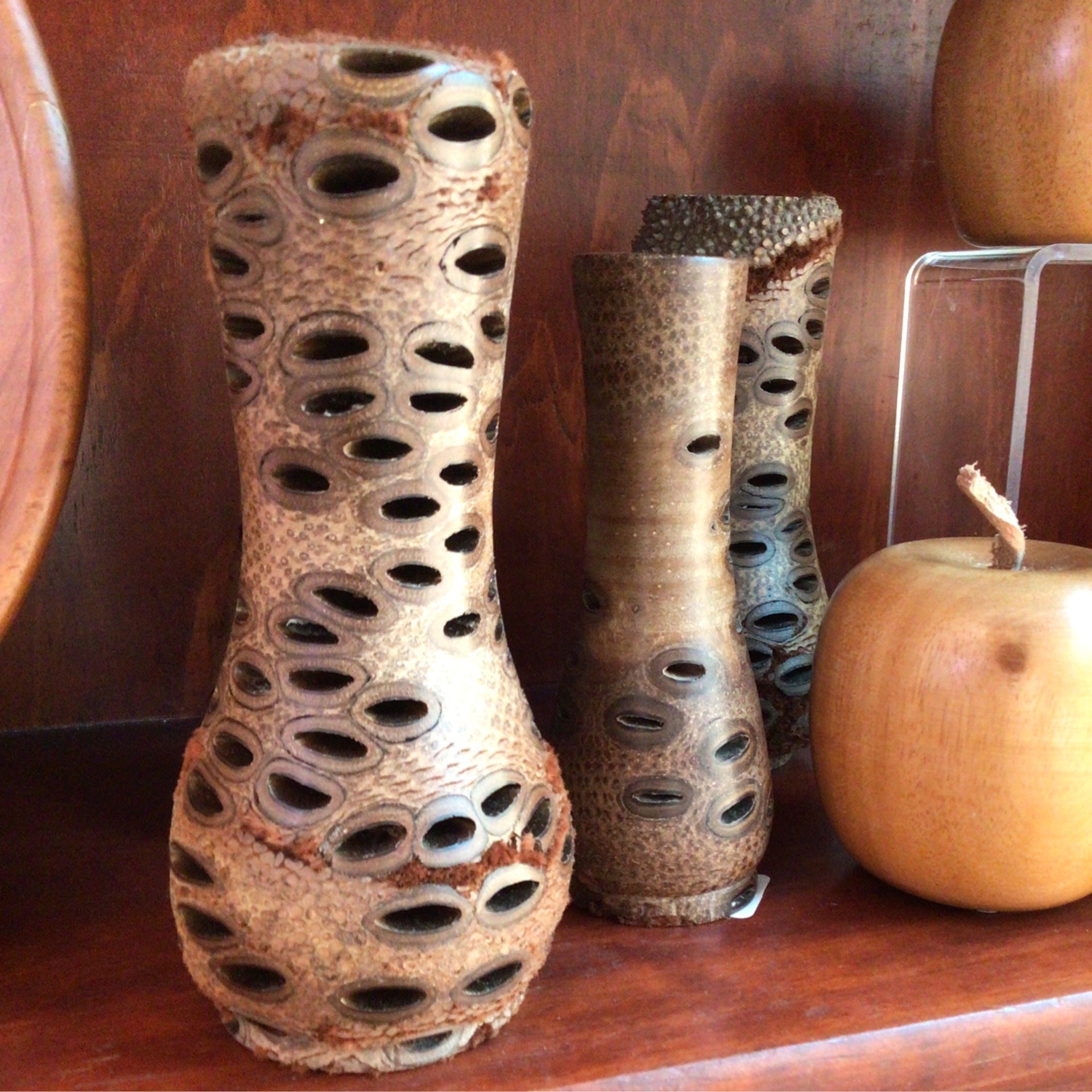 Banksia vase | The Forest Discovery Centre and its community ...